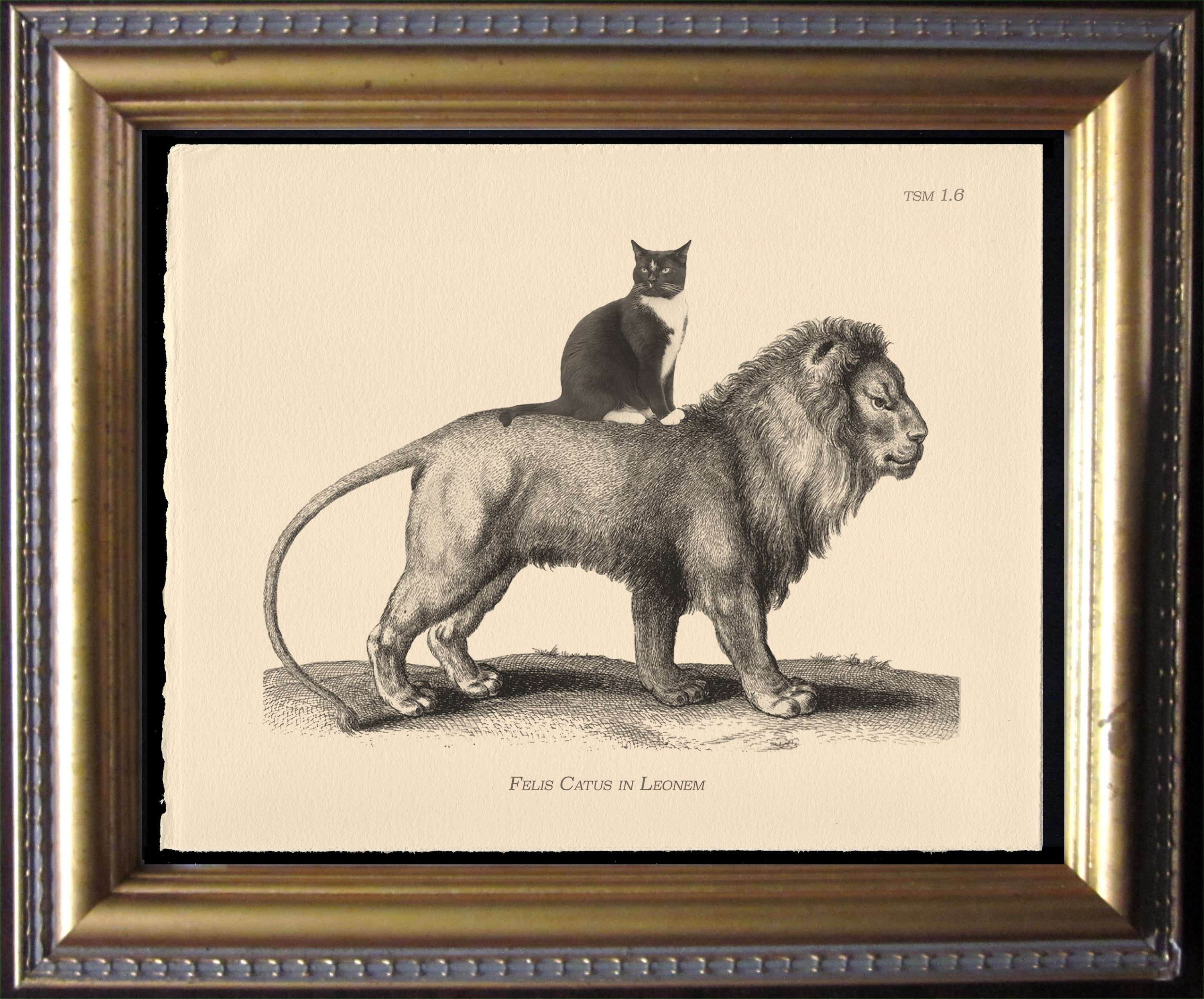 Tuxedo Cat Riding Lion Vintage Collage Print Cat Art Gifts for - Etsy