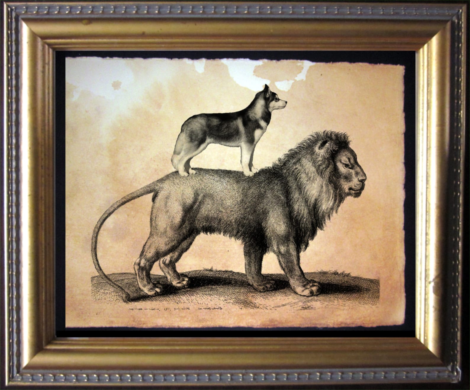 Siberian Husky Riding Lion Vintage Collage Art Print on Tea Stained ...