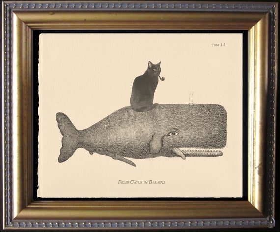 Black Cat Riding Whale Vintage Collage Print Cat Art Gifts for - Etsy