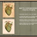 The Hoppy Heart Print Vintage Heart Beer Hops Collage Art Print Tea ...