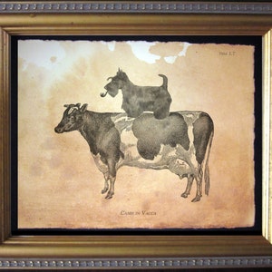 Scottish Terrier Scottie Dog Riding Cow Vintage Collage Art | Etsy