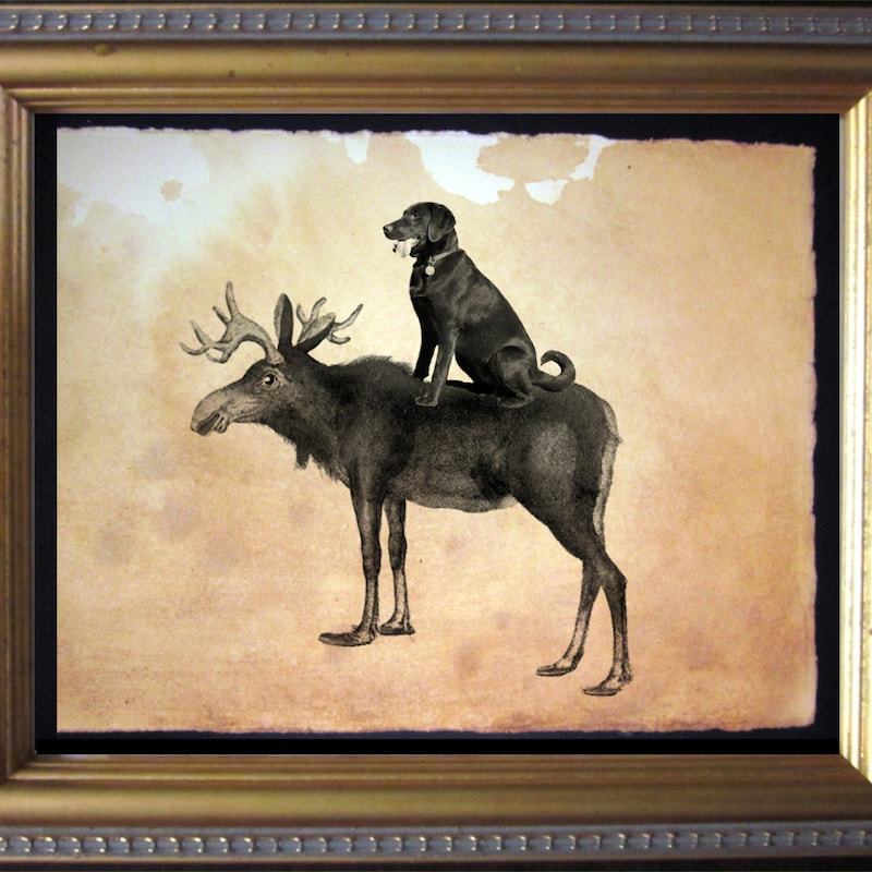 Chocolate Moose - Etsy