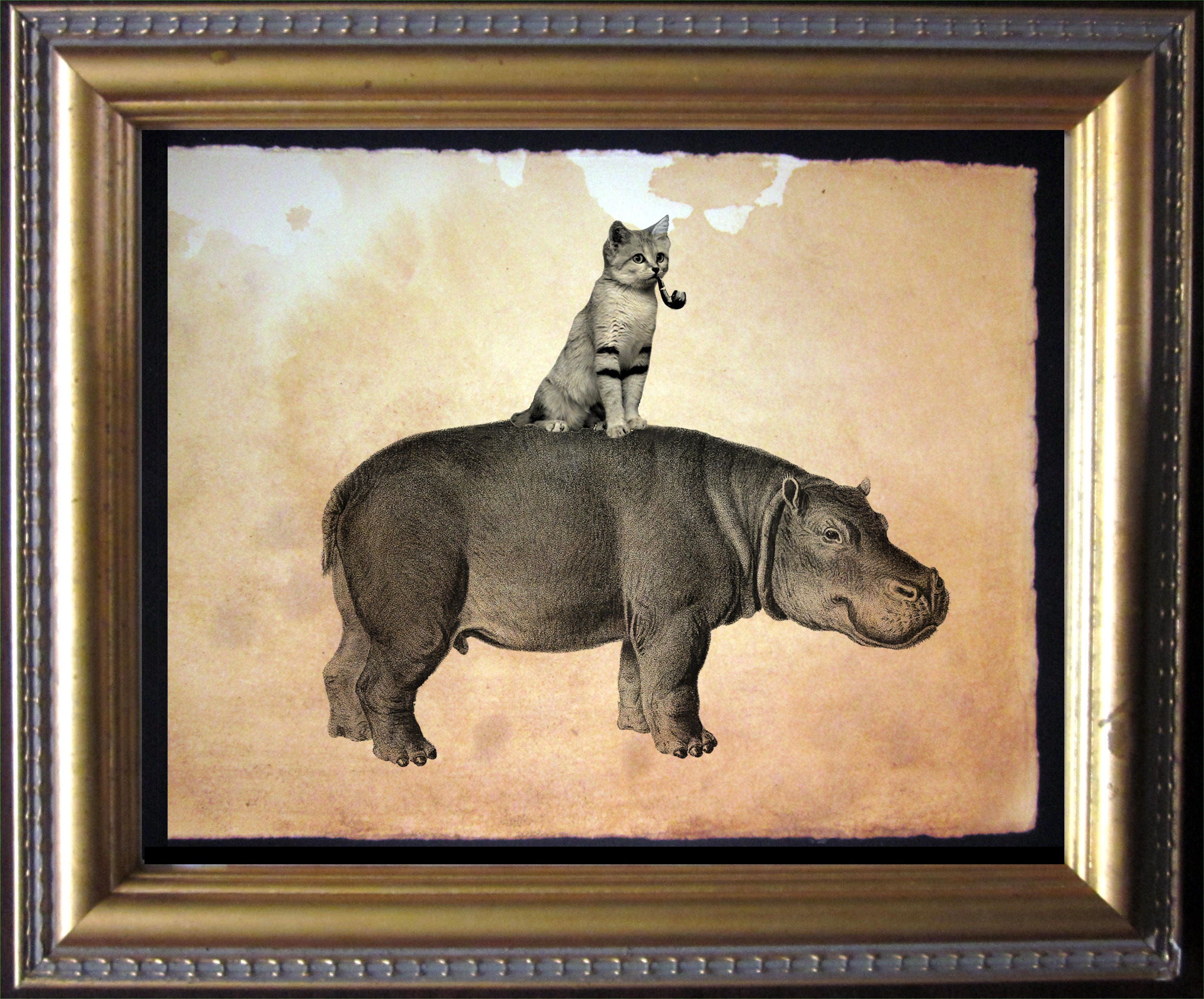 Sandcat Cat Riding Hippo Vintage Collage Art Print on Tea | Etsy