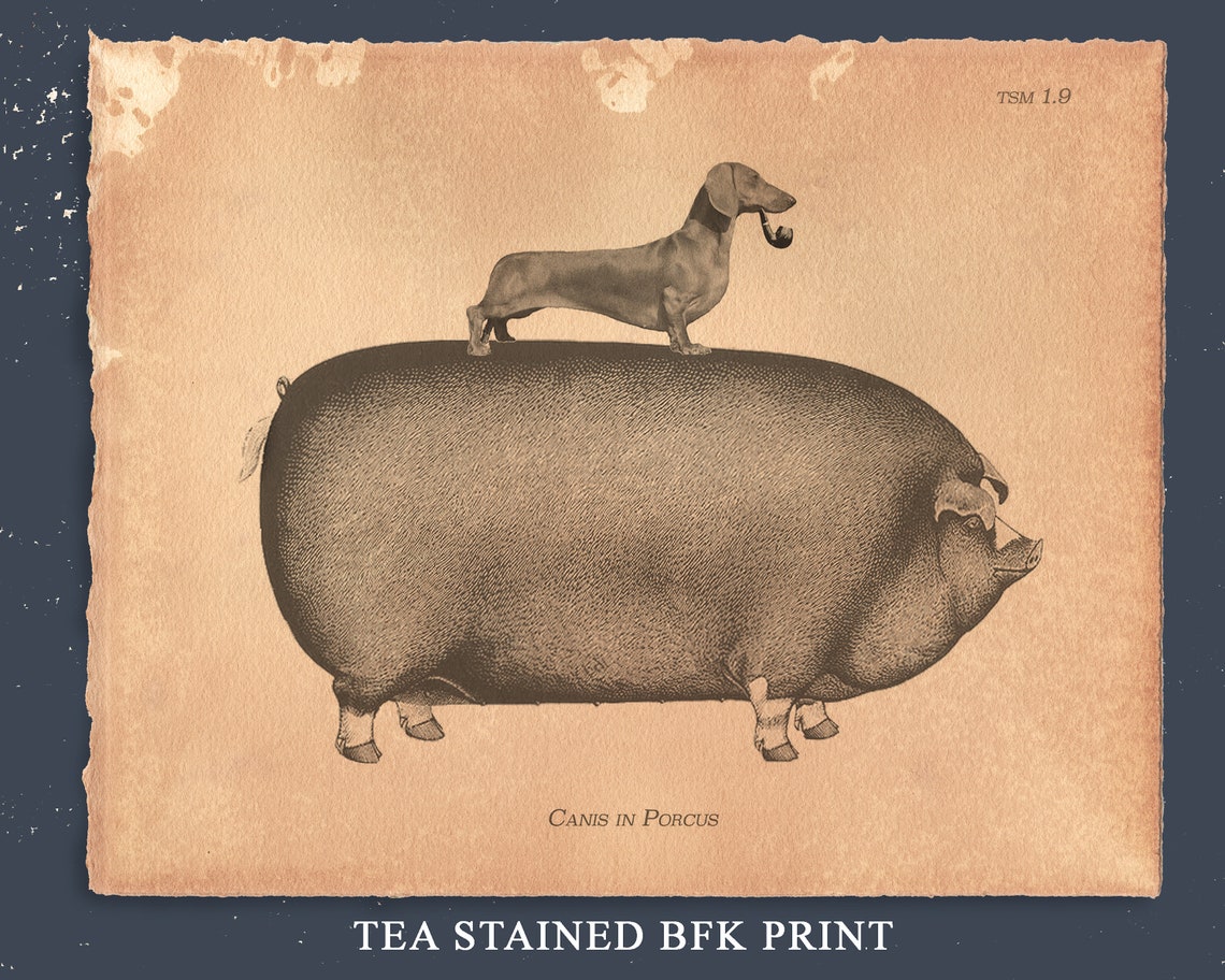 Dachshund Riding Pig, Vintage Style Print - Etsy