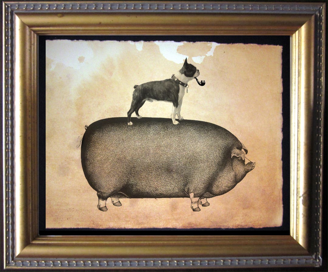 Boston Terrier Riding Pig Vintage Collage Art Print on Tea Stained ...