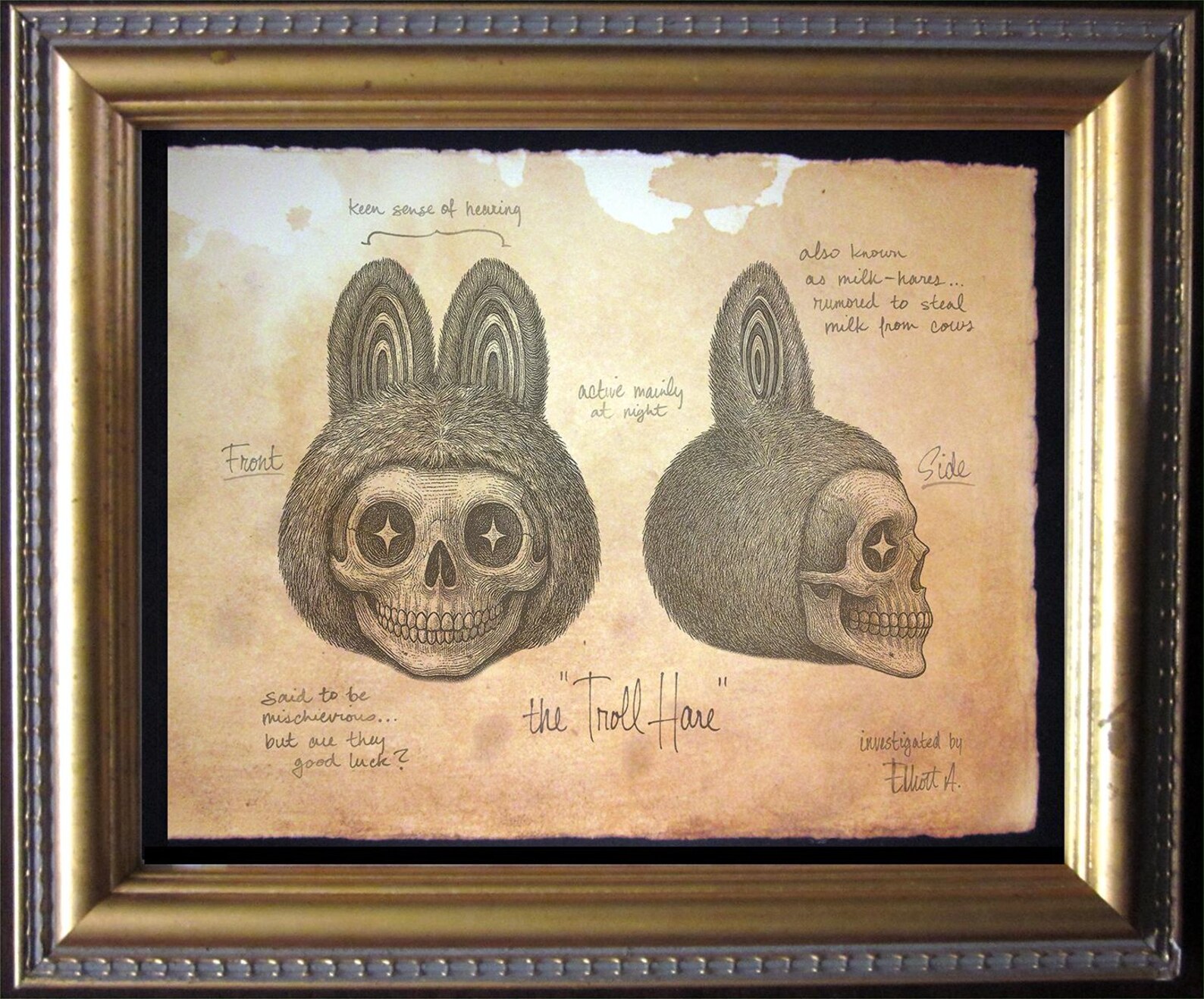 Troll Hare Anatomy Art Print | Nordic Folklore Inspired Creature ...