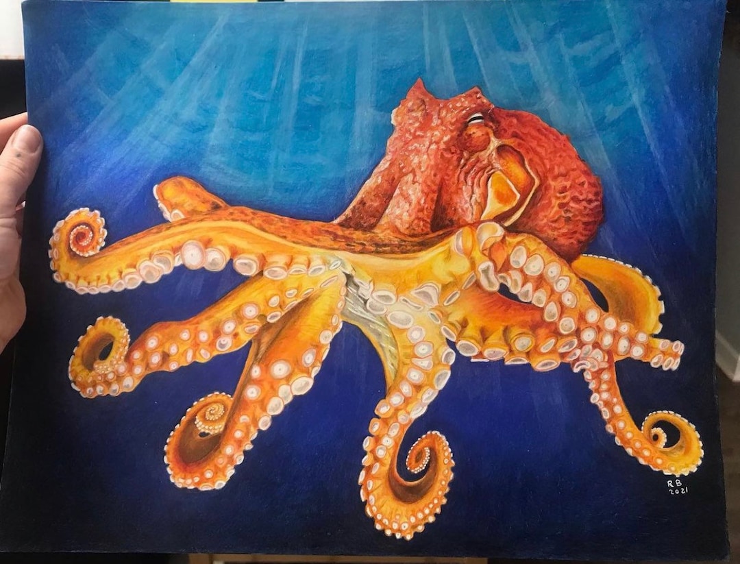 Octopus Art Print - Etsy