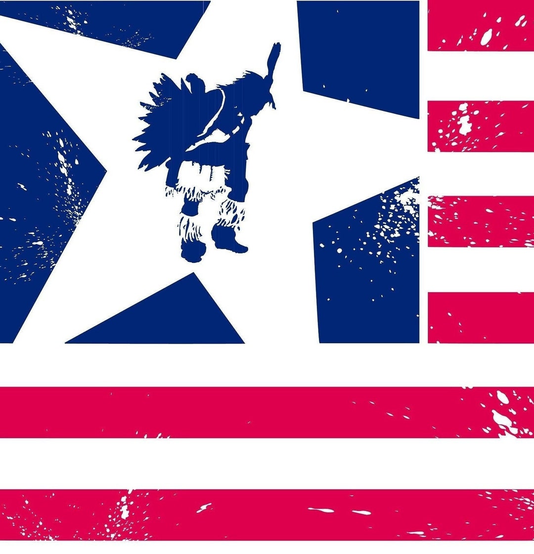 First Nations - Native America Flag Art Print - Etsy