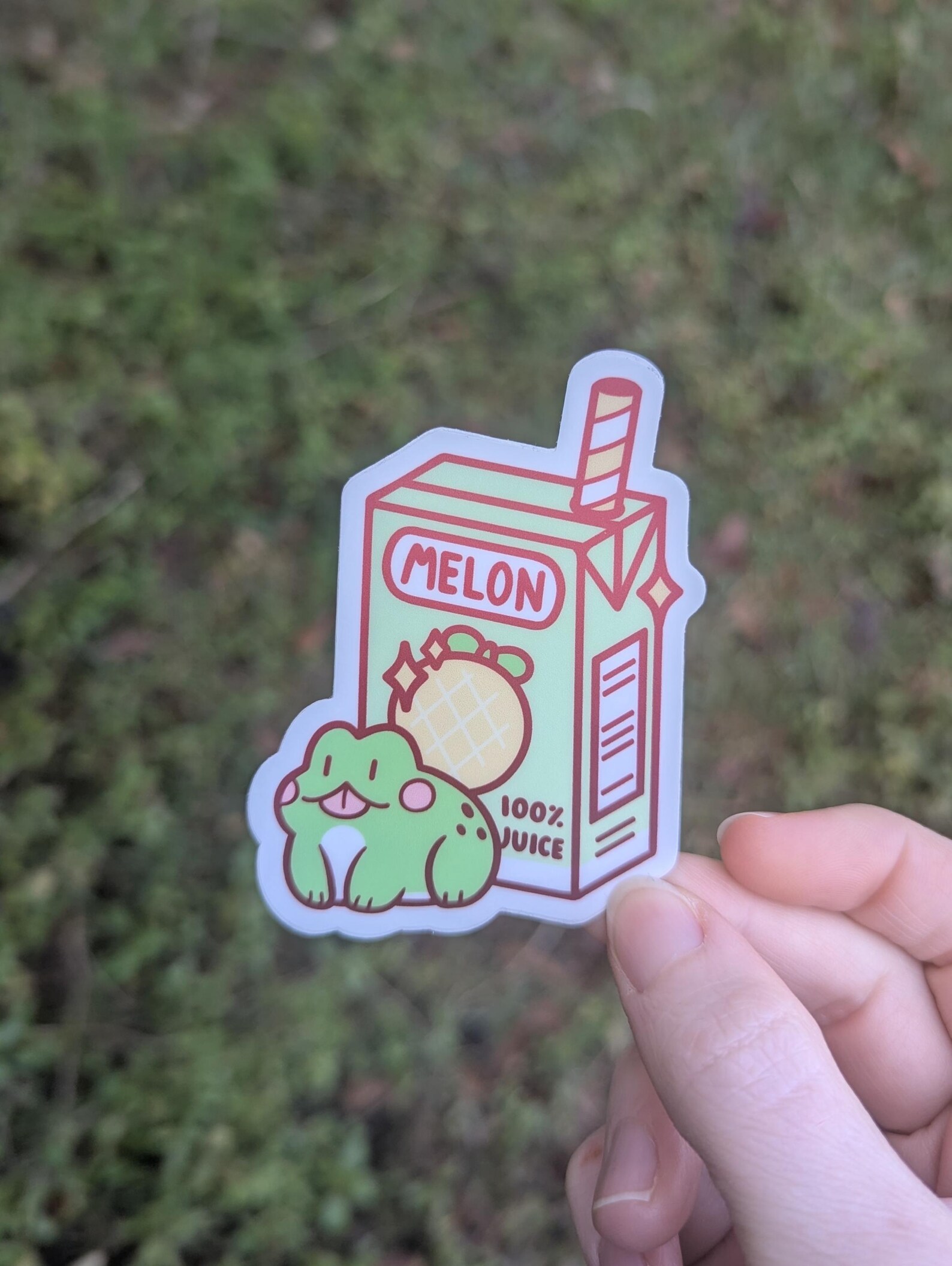Melon Juice Box Frog Frog Sticker - Etsy