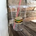 COOKOUT Disposable Party Cups - Etsy