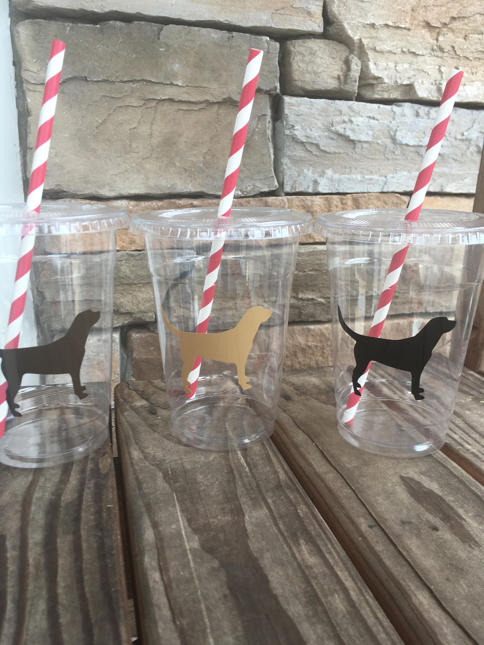 DOG Disposable Party Cups - Etsy