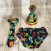 Dinosaur Cake Smash Outfit, Dinosaur First Birthday Outfit, Diaper ...