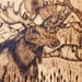 Moose in the Northwoods - Pyrography on 13.5in X 8in Pine Wood Plaque ...