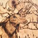 Moose in the Northwoods - Pyrography on 13.5in X 8in Pine Wood Plaque ...