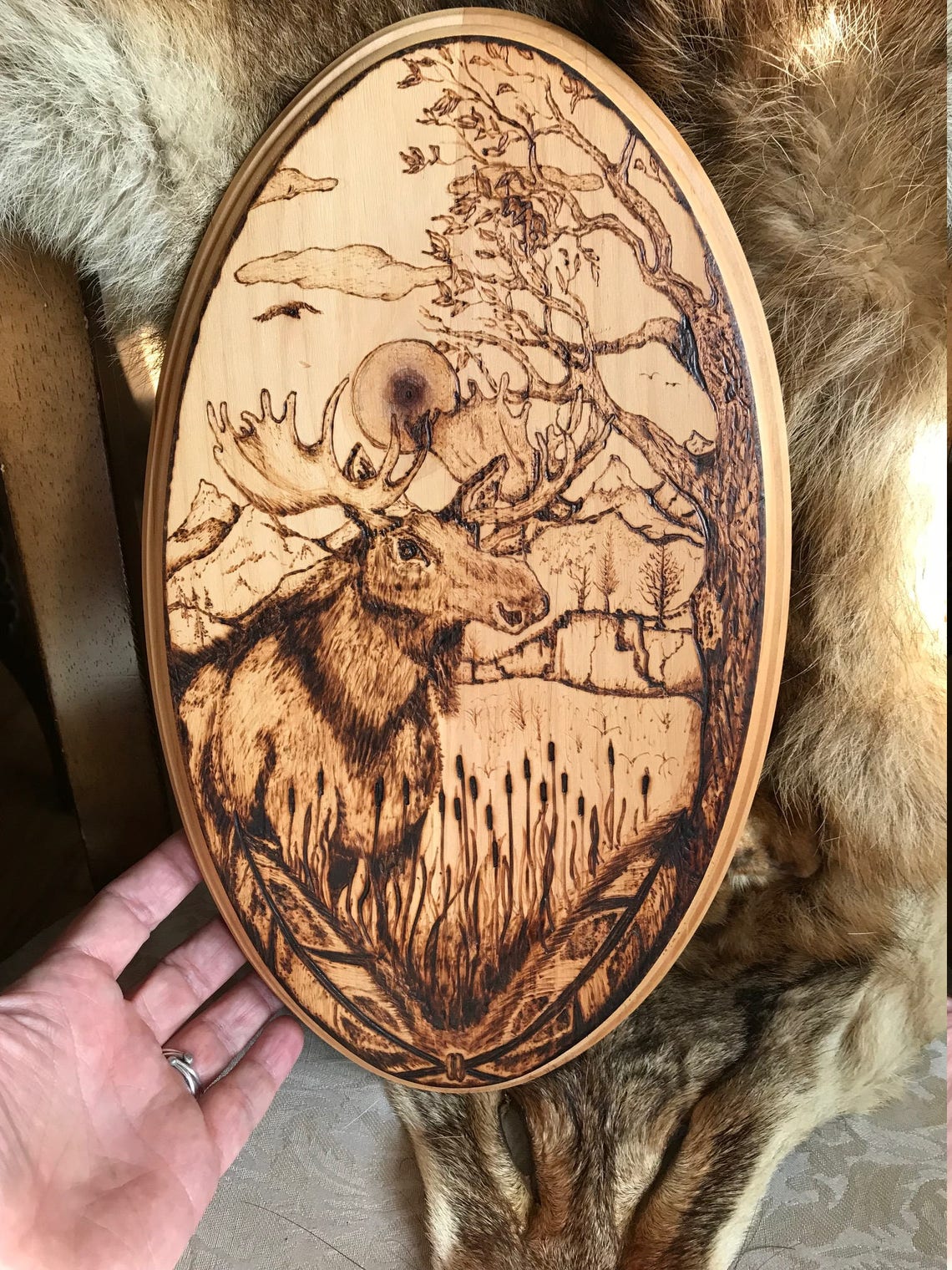 Moose in the Northwoods Pyrography on 13.5in X 8in Pine Wood | Etsy