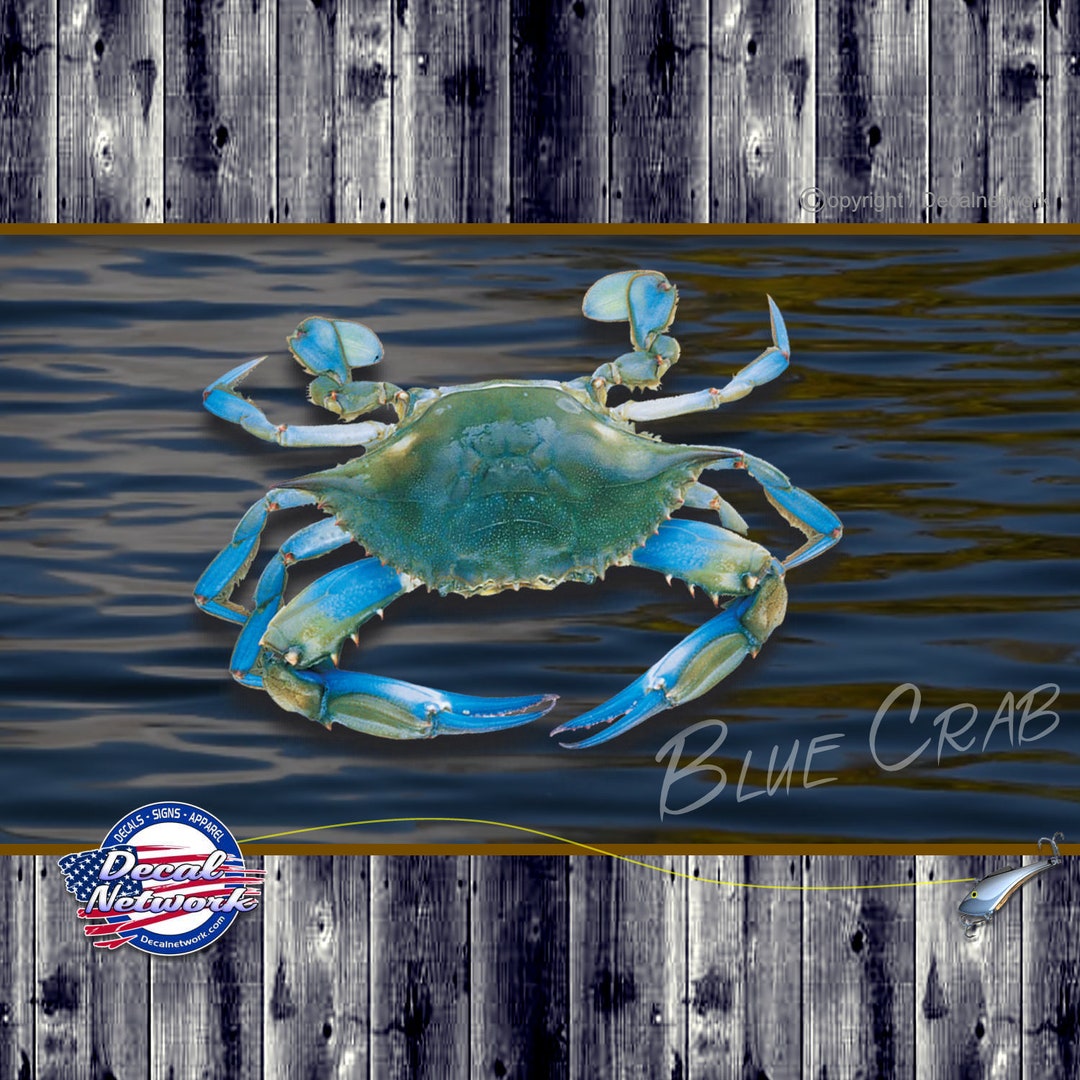 Blue Crab Vinyl Decal 5"x 7" Car Window Sticker Truck Glass - Etsy