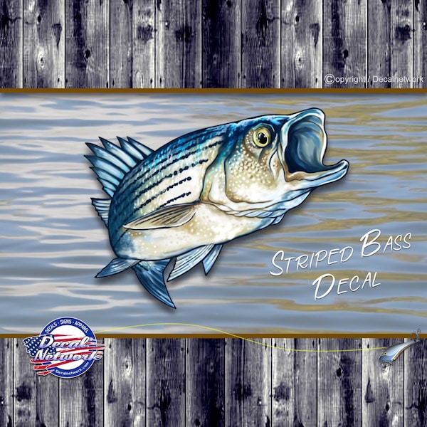 Striped Bass Car Decal - Etsy