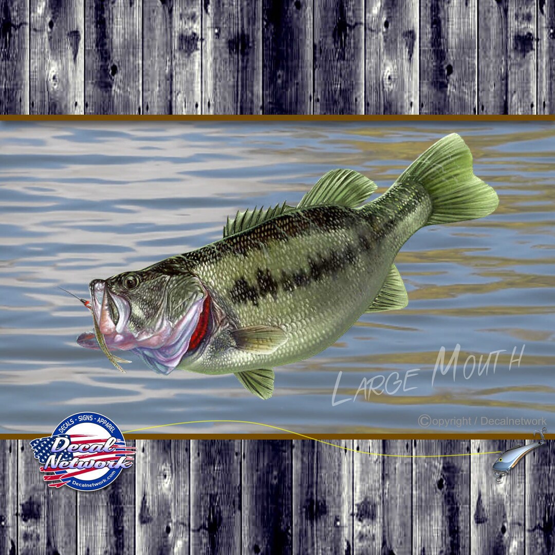 Full Color Large Mouth Bass Vinyl Decal Multiple Sizes for Truck Car ...