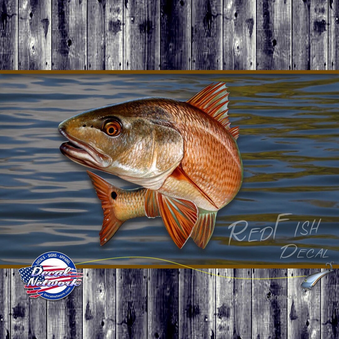 RED Fish, Fishing, Vinyl Decal, 6.3"x 7" Truck, Car, Suv, Window ...