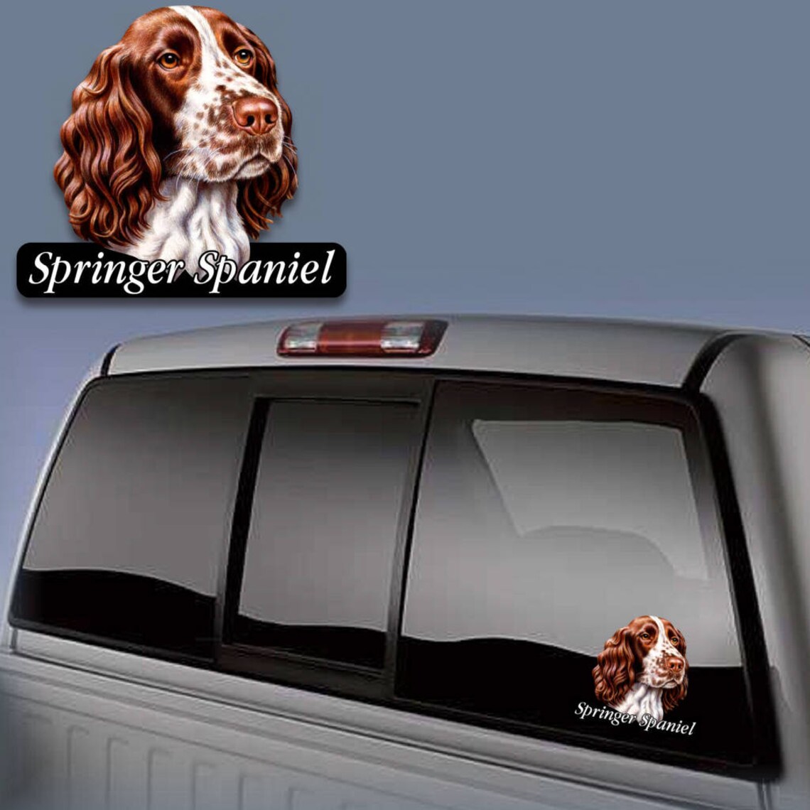 Springer Spaniel Dog Breed Vinyl Decal | Etsy