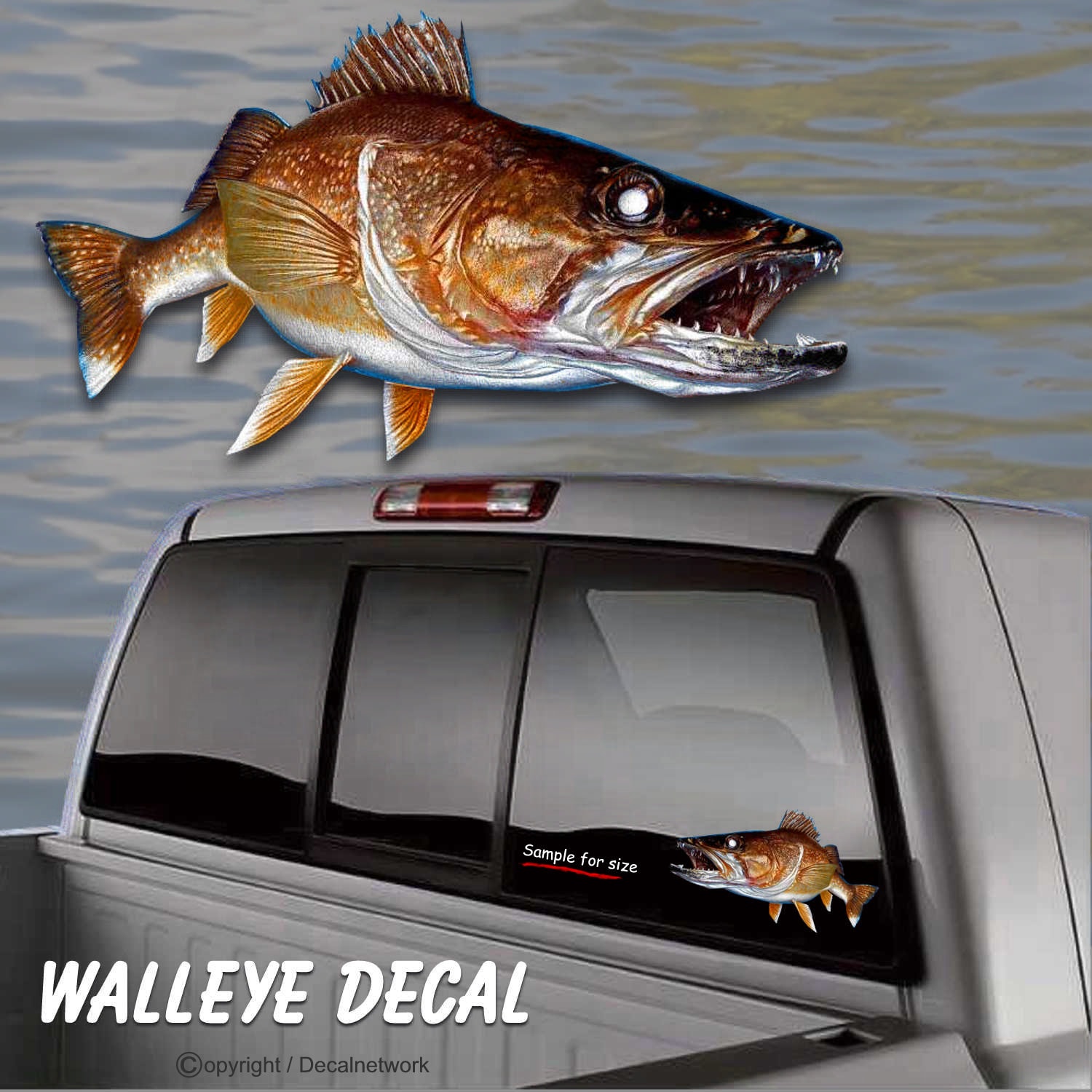 Walleye Sticker