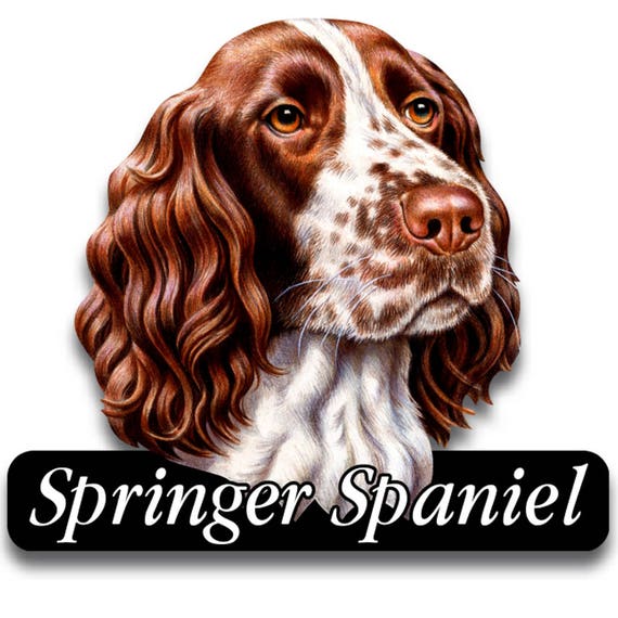 Springer Spaniel Dog Breed Vinyl Decal | Etsy