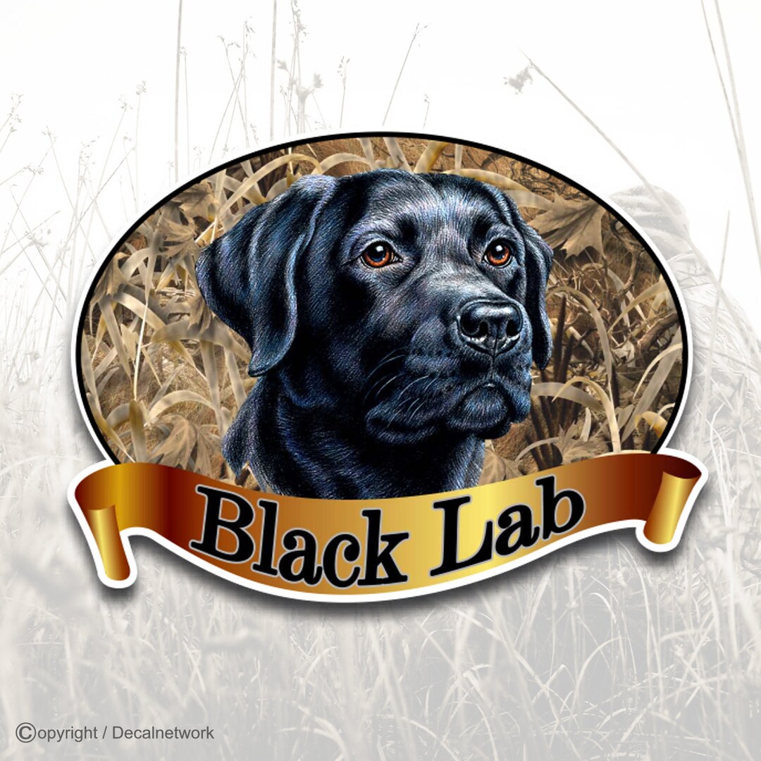 Black Lab, Labrador Retriever, Dog Decal, Full Color, Camo, Camouflage ...