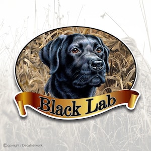 Black Lab, Labrador Retriever, Dog Decal, Full Color, Camo, Camouflage ...