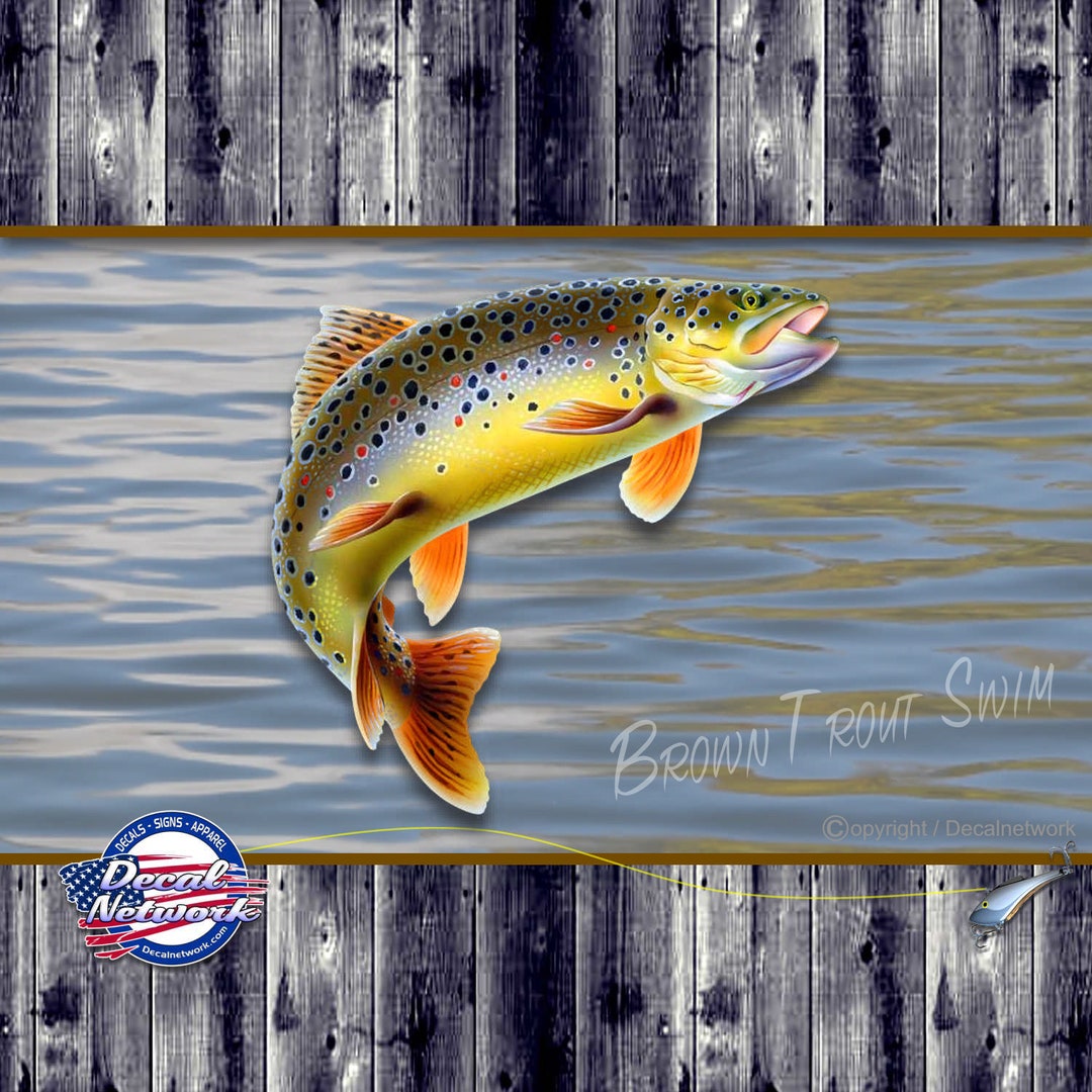 Brown Trout Swimming Vinyl Fish Decal Full Color Multiple Sizes Truck ...