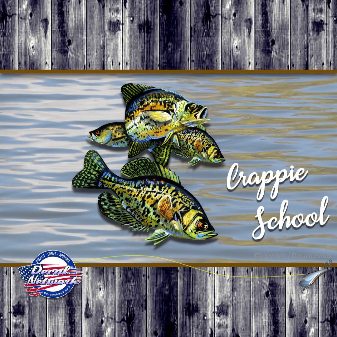 Black Crappie School Fish Vinyl Decal 8"x 8" Truck Car Suv Window ...