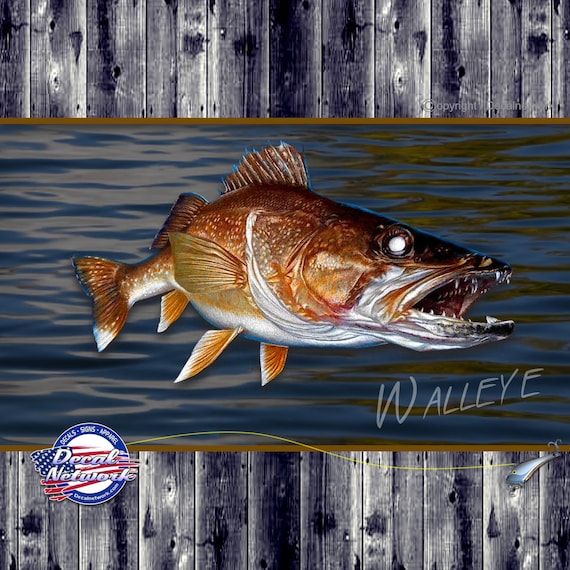 Walleye Sticker