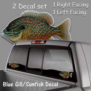 Blue Gill Sun Fish Fishing Vinyl 2 Decal Set of 1 Right / 1 Left Facing ...