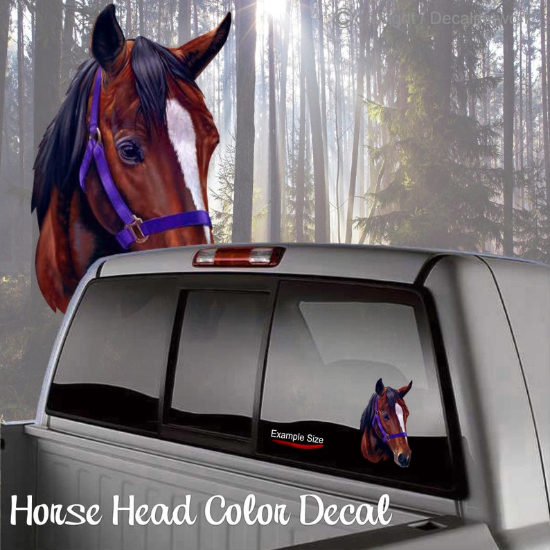 Full Color Horse Vinyl Decal Country Ranch Window Stickers - Etsy