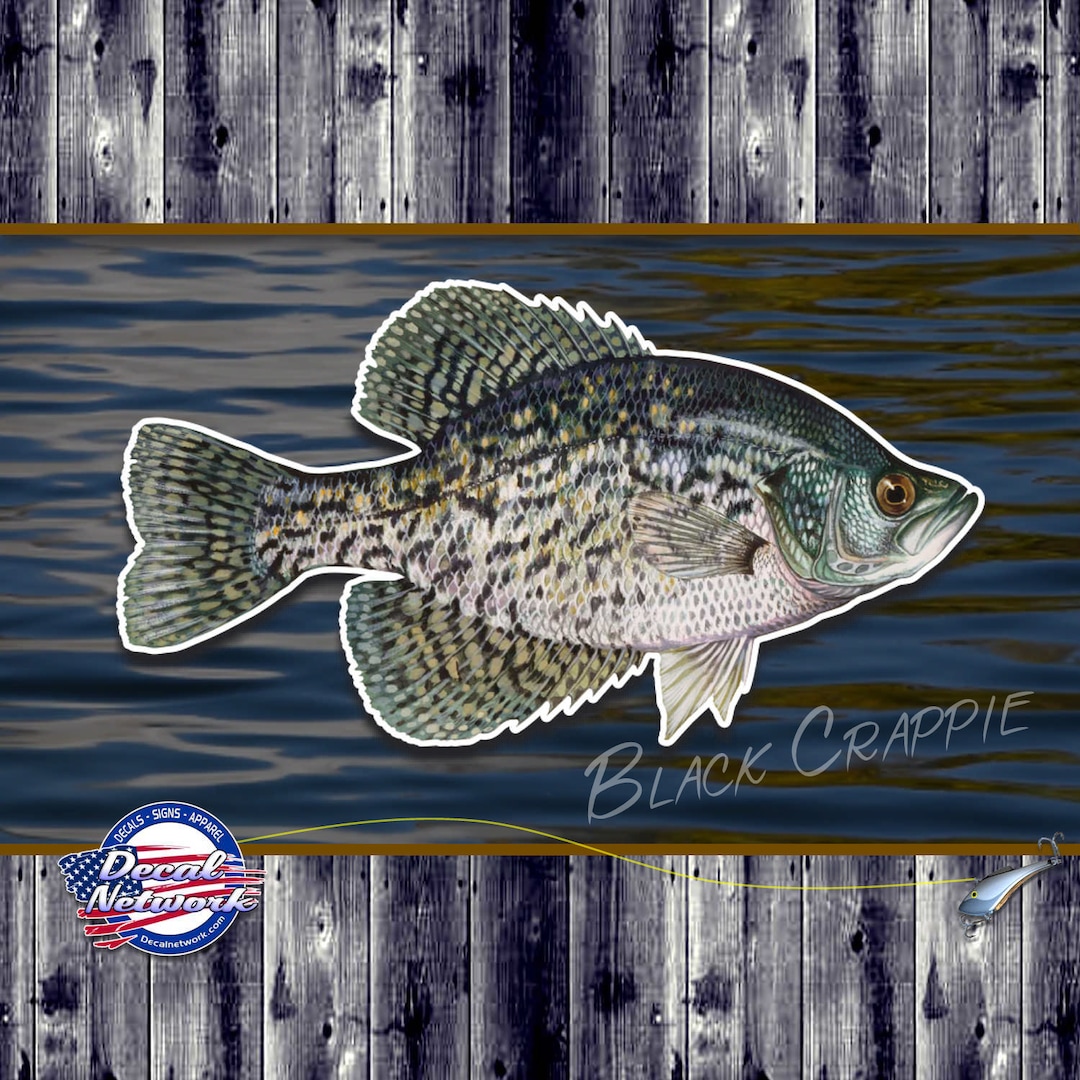 Black Crappie Vinyl Decal Fish Sticker 2 Decal Set 1 Right 1 Left ...