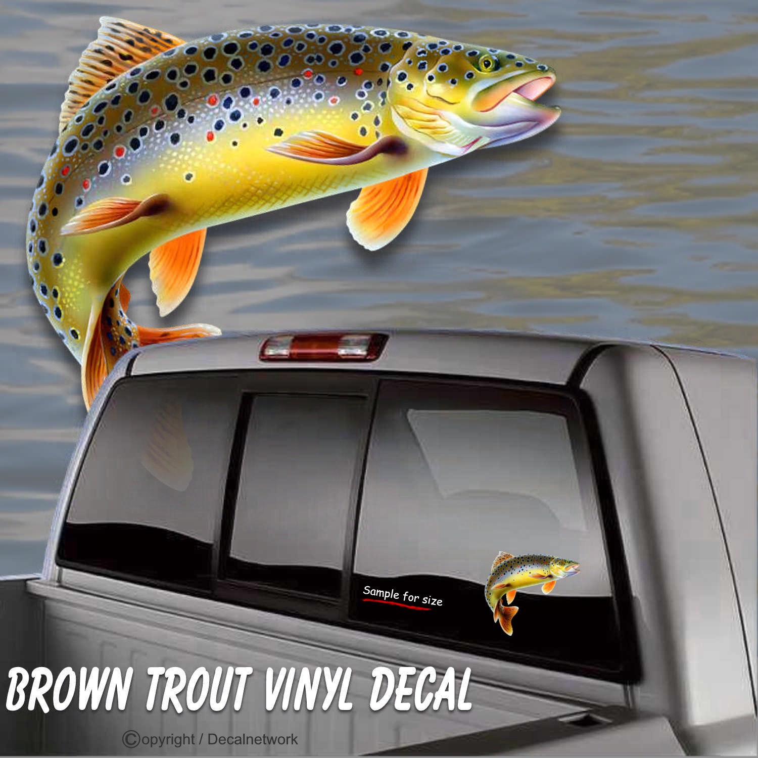 Brown Trout Swimming Vinyl Fish Decal Full Color Multiple - Etsy