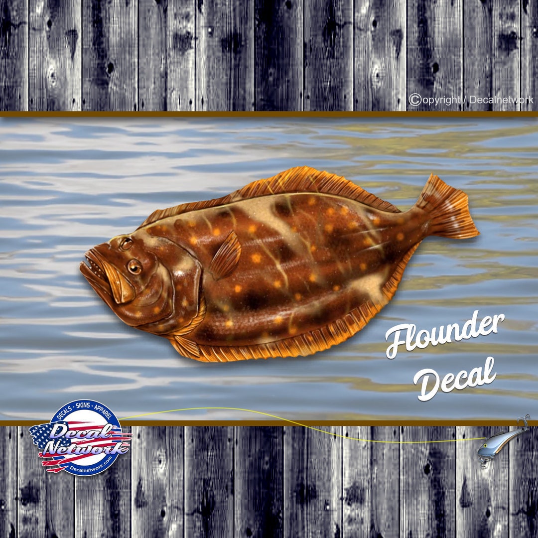 FLOUNDER Fish Fishing Vinyl Decal 4.5"x 9" Truck Car Suv Window Sticker ...