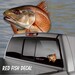 RED Fish, Fishing, Vinyl Decal, 6.3"x 7" Truck, Car, Suv, Window ...