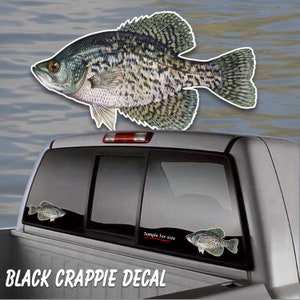 Black Crappie Vinyl Decal Fish Sticker 2 Decal Set 1 Right 1 Left ...