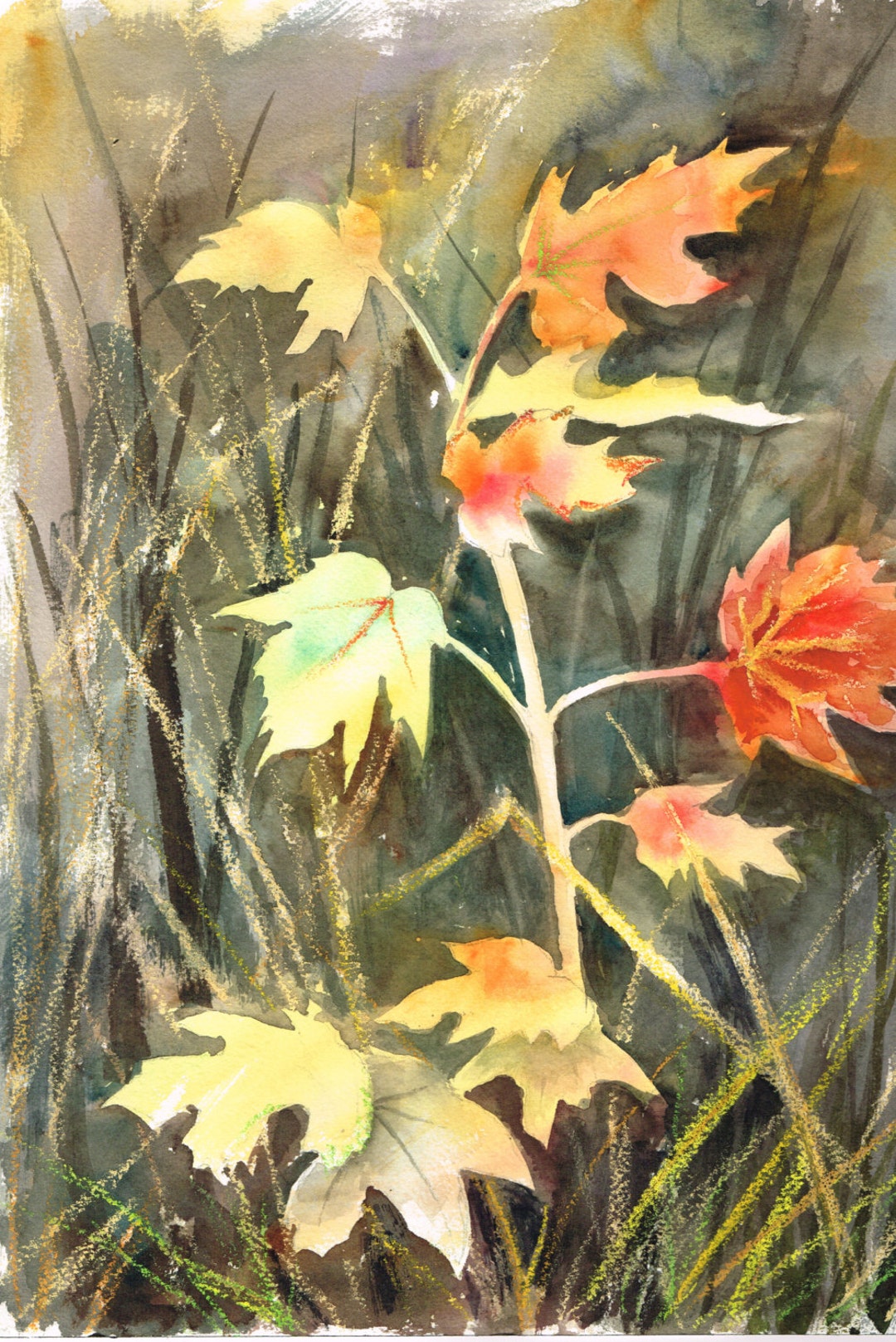 Autumn Sapling Original Watercolor Painting - Etsy