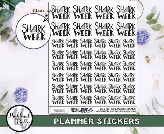 Shark Week Hand Lettered Planner Stickers Perfect for All | Etsy