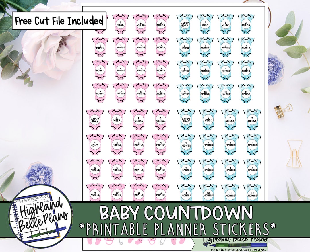 Baby Age Countdown // Printable Planner Stickers // Baby Stickers ...