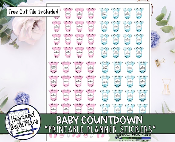 Baby Age Countdown // Printable Planner Stickers // Baby | Etsy
