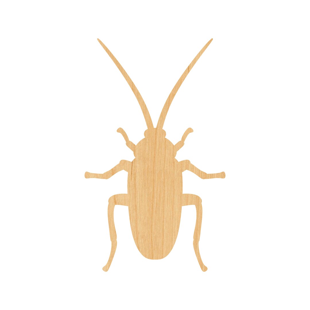 Cockroach Laser Cut Out Wood Shape Craft Supply - Woodcraft Cutout - Etsy