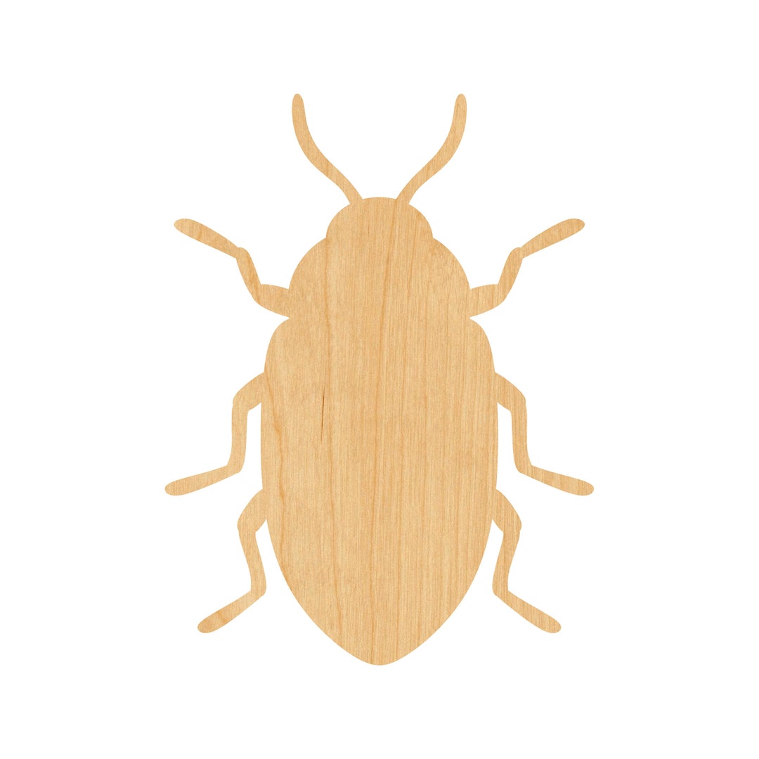 Beetle Laser Cut Out Wood Shape Craft Supply - Woodcraft Cutout - Etsy