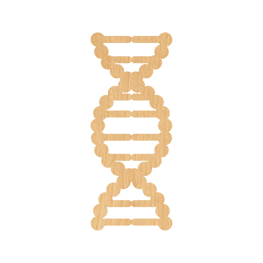 Dna Laser Cut Out Wood Shape Craft Supply - Woodcraft Cutout - Etsy