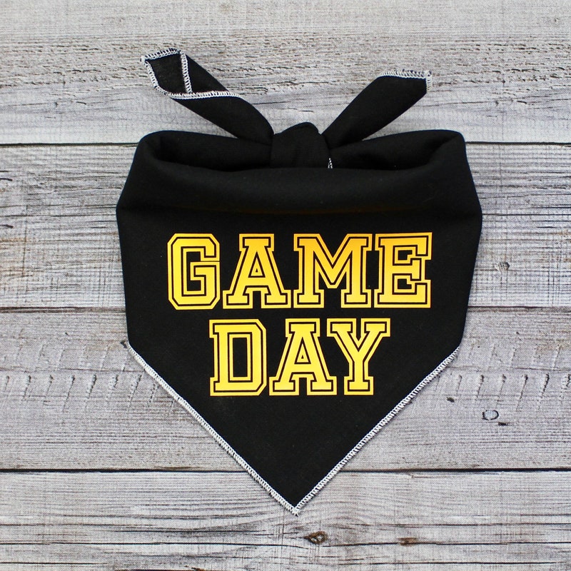 Iowa State Scarf - Etsy