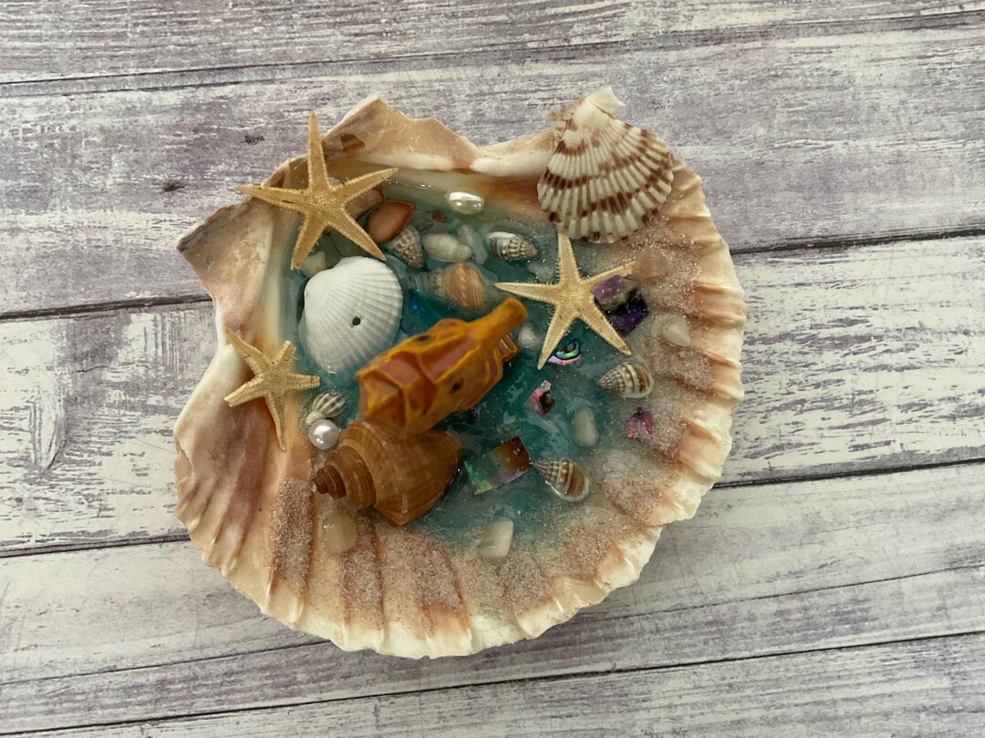 Scalloped Shell Jewelry Holder, Seahorse Ring Dish, Coastal Decor - Etsy