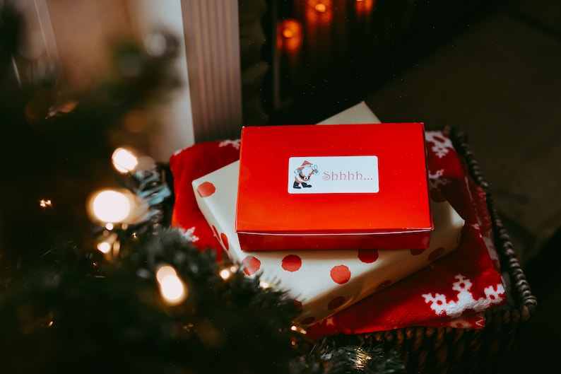 Proof of Santa Kit Santa Claus Kit Santa Evidence Kit Proof | Etsy