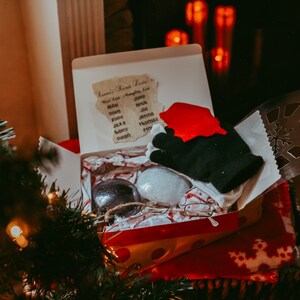 Proof of Santa Kit, Santa Claus Kit, Santa Evidence Kit, Proof Santa ...