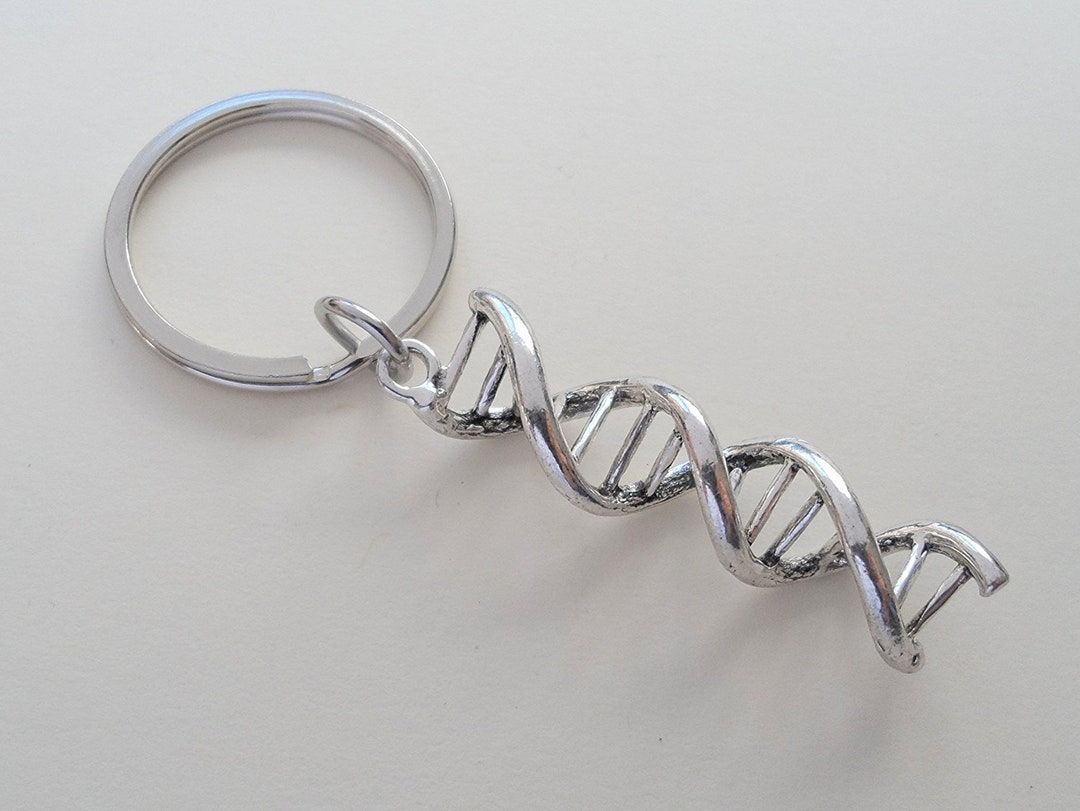 DNA Molecule Double Helix Keychain, Science Keychain, Graduation Gift ...